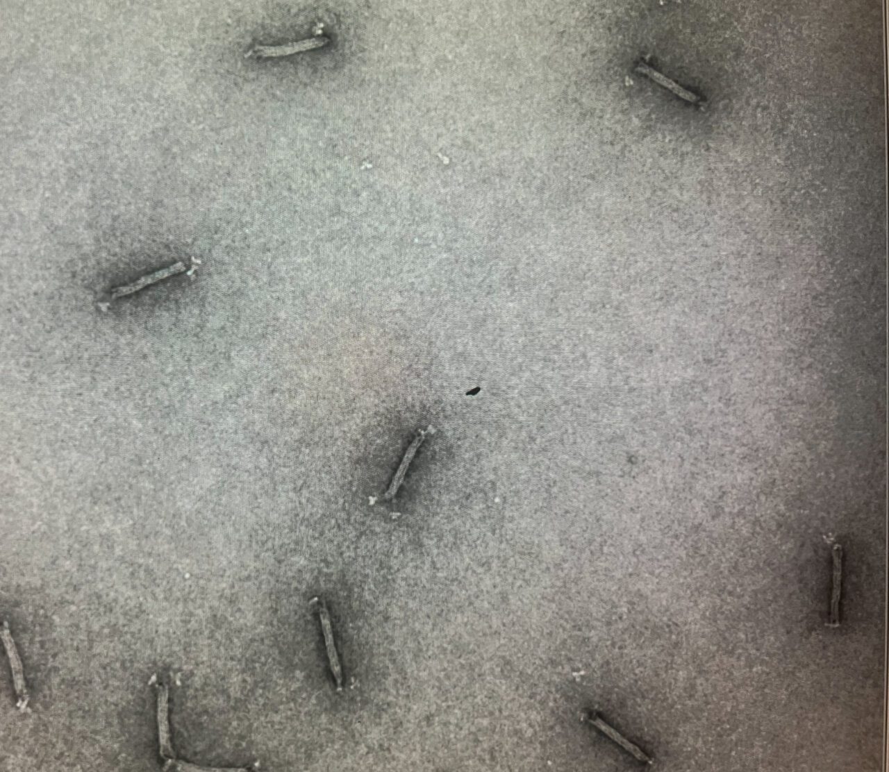 The Current State of Drug Delivery Using Nanotechnology: A Case for DNA ...